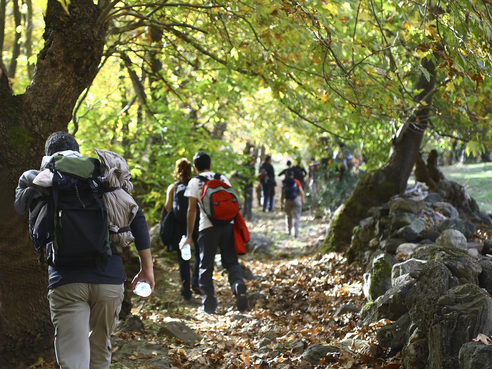 Le Club92Cmcas vous propose la nouvelle section Randonnée Pédestre ...